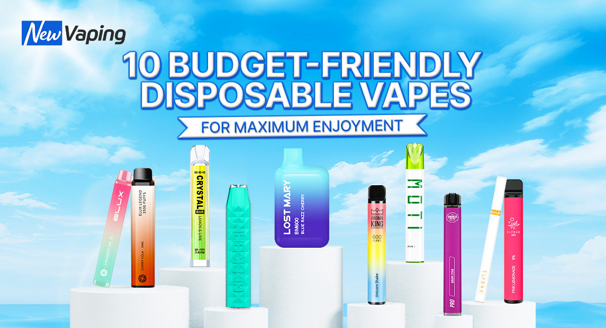 10 Best Budget-Friendly Disposable Vapes for Maximum Enjoyment 2023